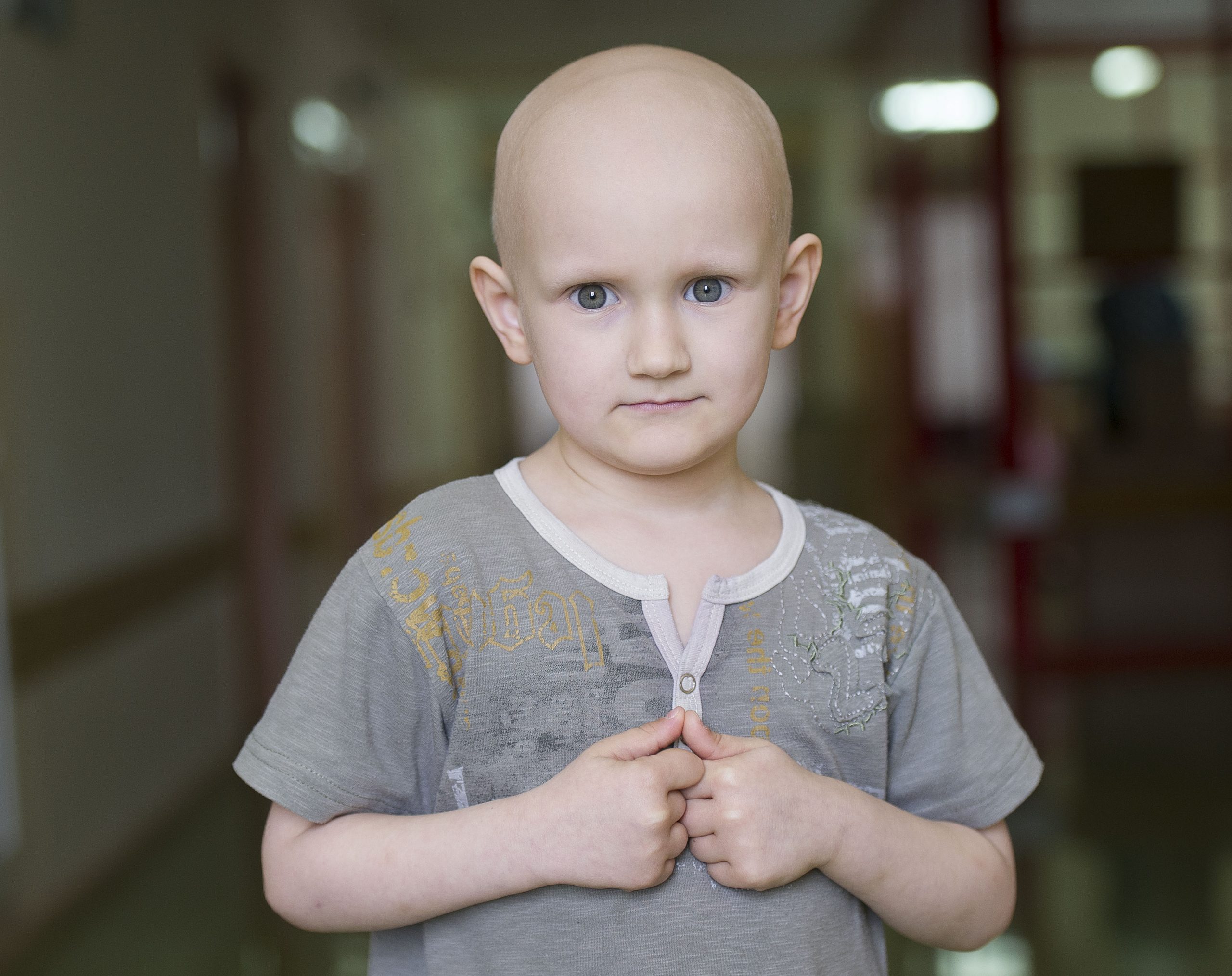 Assignments 2016 | The BPPA